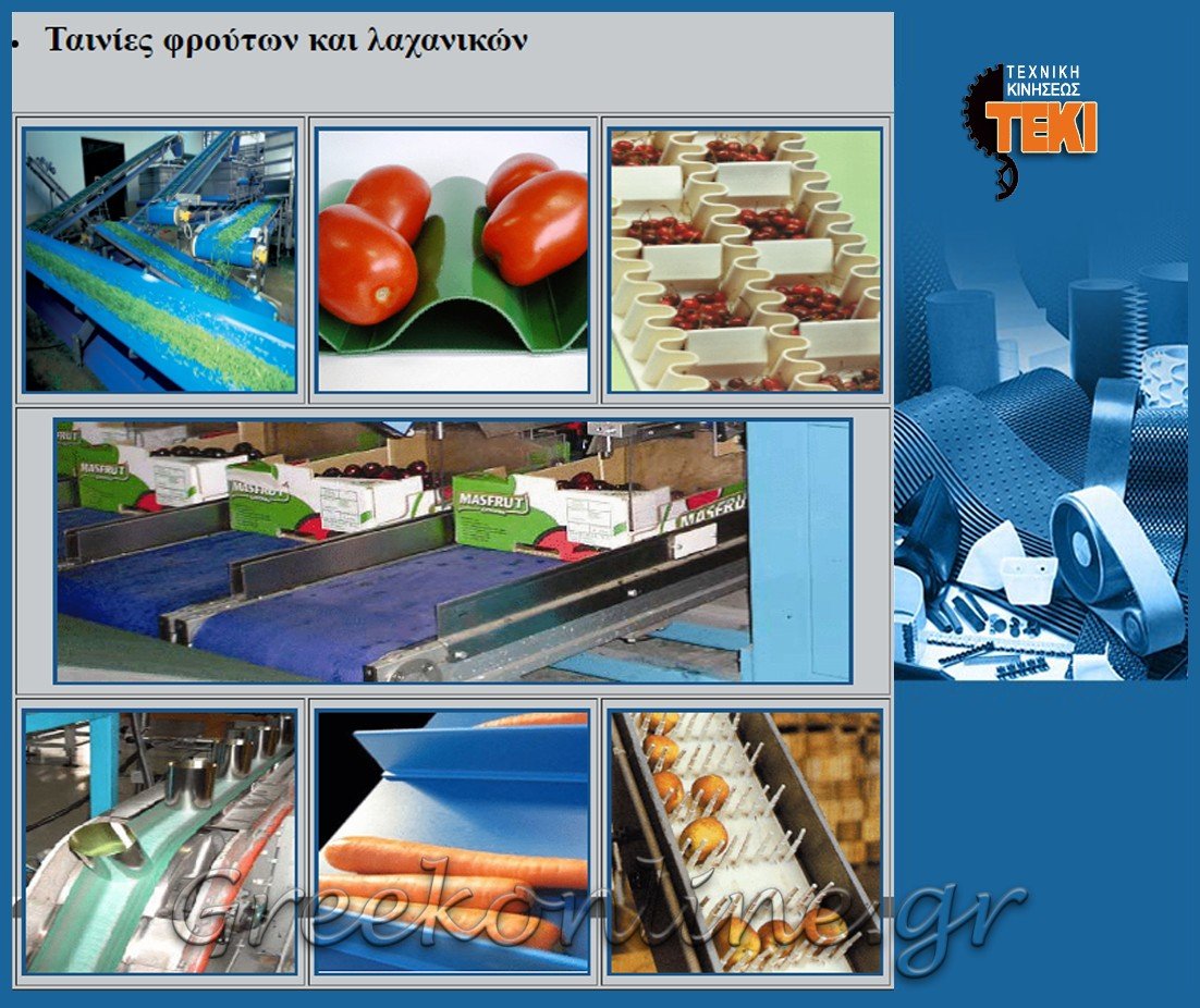 ΒΙΟΜΗΧΑΝΙΚΑ ΣΥΣΤΗΜΑΤΑ ΜΕΤΑΔΟΣΗΣ ΚΙΝΗΣΗΣ ΠΥΛΑΙΑ ΘΕΣΣΑΛΟΝΙΚΗΣ "ΤΕΚΙ ...