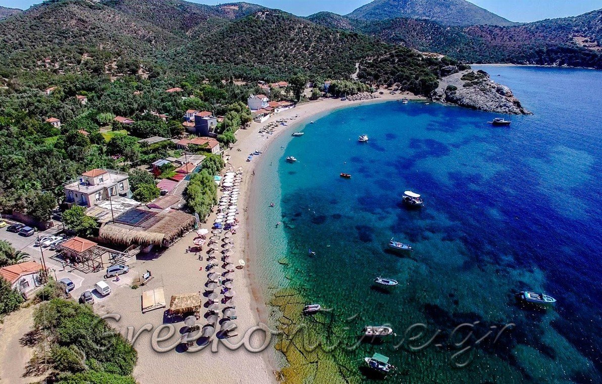 ΥΠΕΡΑΣΤΙΚΟ ΚΤΕΛ ΛΕΣΒΟΥ ΑΕ - Ηλεκτρονικός Κατάλογος Επιχειρήσεων Ελλάδας