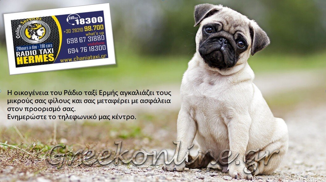 ΡΑΔΙΟ ΤΑΞΙ ΧΑΝΙΑ RADIO TAXI HERMES CHANIA ΣΥΝ.Π.Ε. ΕΡΜΗΣ - Ηλεκτρονικός ...