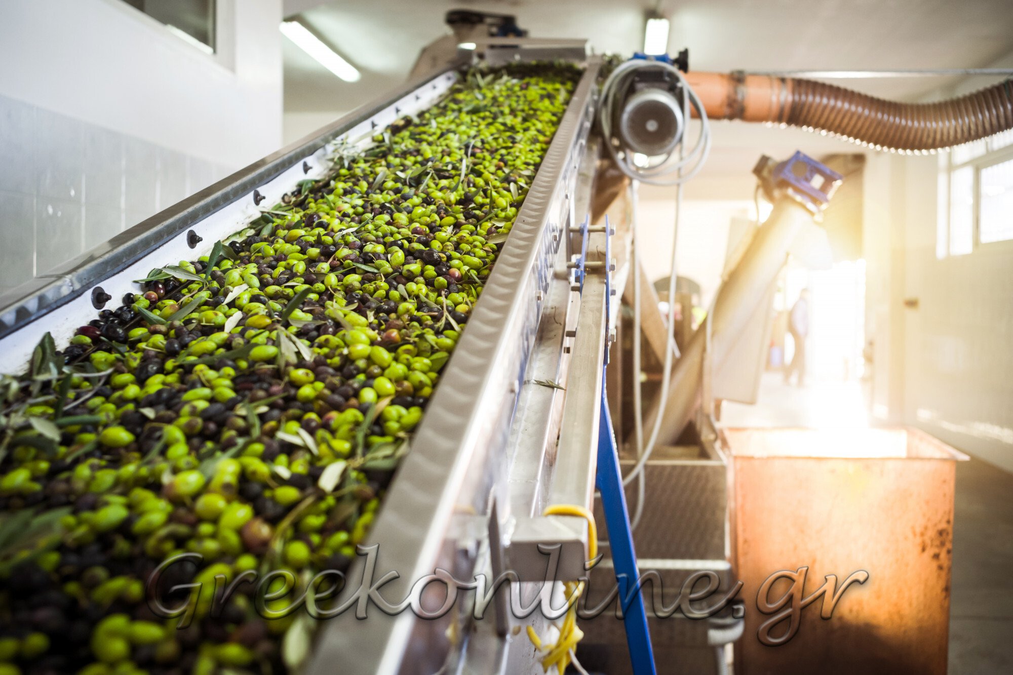 ΕΛΑΙΟΤΡΙΒΕΙΟ ΕΛΑΙΩΝΑΣ ΣΕΡΡΩΝ ΜΟΥΣΑΣ ΟΕ