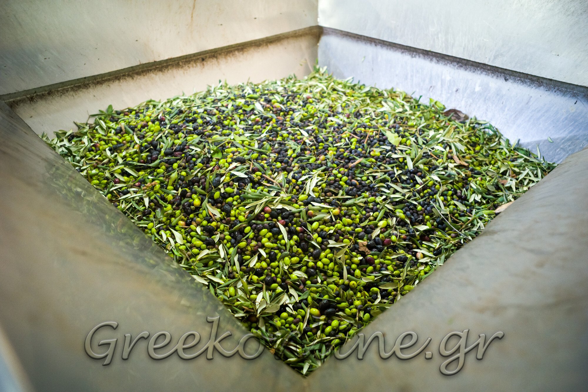 ΕΛΑΙΟΤΡΙΒΕΙΟ ΕΠΙΣΚΟΠΗ ΧΑΝΙΩΝ ΧΑΠΑΛΟΓΛΟΥ ΣΟΦΙΑ - Ηλεκτρονικός Κατάλογος ...