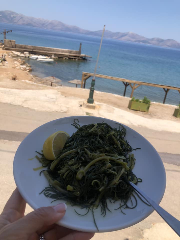 ΨΑΡΟΤΑΒΕΡΝΑ ΠΑΡΑΛΙΑ ΣΕΣΙ ΓΡΑΜΜΑΤΙΚΟ "ΣΕΣΙ" ΚΟΛΛΙΑΣ ΚΩΝΣΤΑΝΤΙΝΟΣ ...