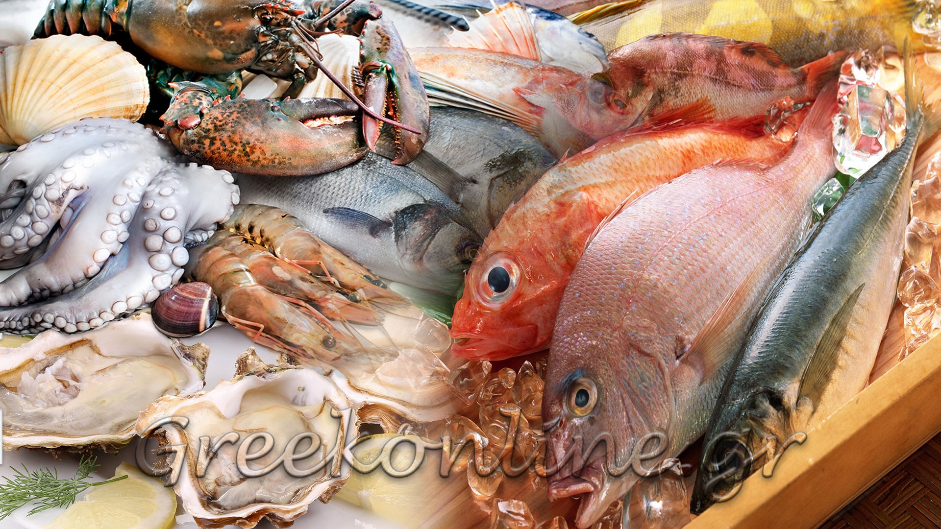 ΙΧΘΥΟΠΩΛΕΙΟ ΠΟΡΤΟ ΧΕΛΙ "ΚΑΠΤΑΝ ΓΙΩΡΓΗΣ" ΤΡΙΓΚΑΚΗΣ ΙΩΑΝΝΗΣ ...