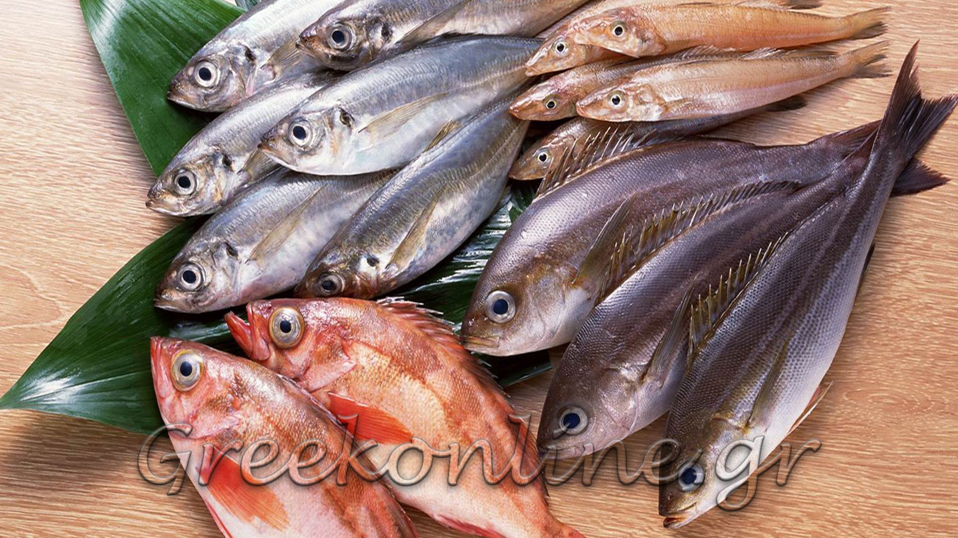 ΙΧΘΥΟΠΩΛΕΙΟ ΠΟΡΤΟ ΧΕΛΙ "ΚΑΠΤΑΝ ΓΙΩΡΓΗΣ" ΤΡΙΓΚΑΚΗΣ ΙΩΑΝΝΗΣ ...