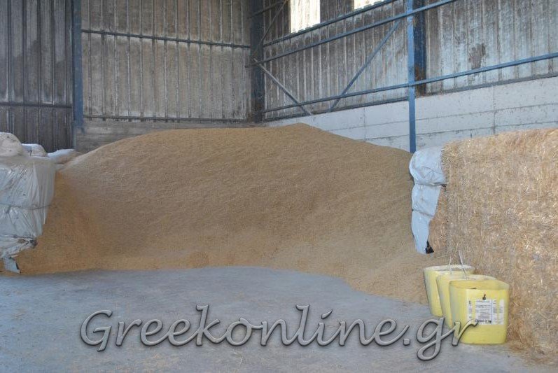 ΚΡΕΟΠΩΛΕΙΟ ΚΑΡΔΙΤΣΑ "ΤΡΕΜΜΑΣ ΒΑΣΙΛΕΙΟΣ" - Ηλεκτρονικός Κατάλογος ...