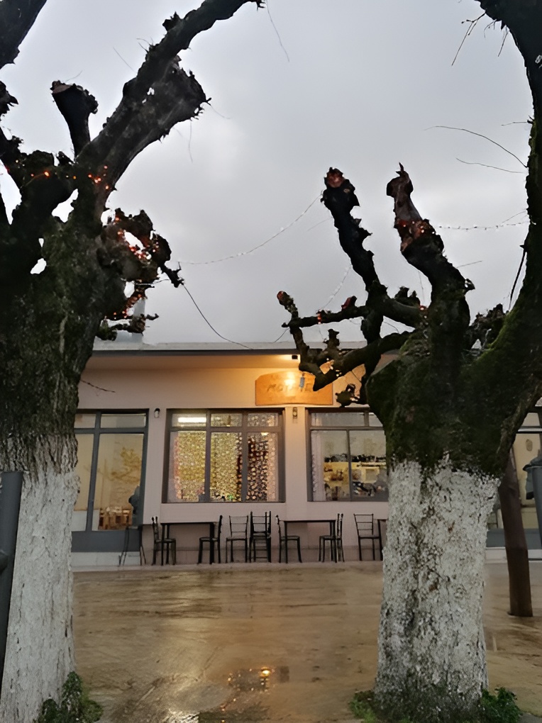 ΤΑΒΕΡΝΑ - ΨΗΣΤΑΡΙΑ ΑΣΦΑΚΑ ΙΩΑΝΝΙΝΩΝ "ΜΟΥΡΙΕΣ" ΠΑΠΑΔΟΠΟΥΛΟΣ ΦΩΤΗΣ ...