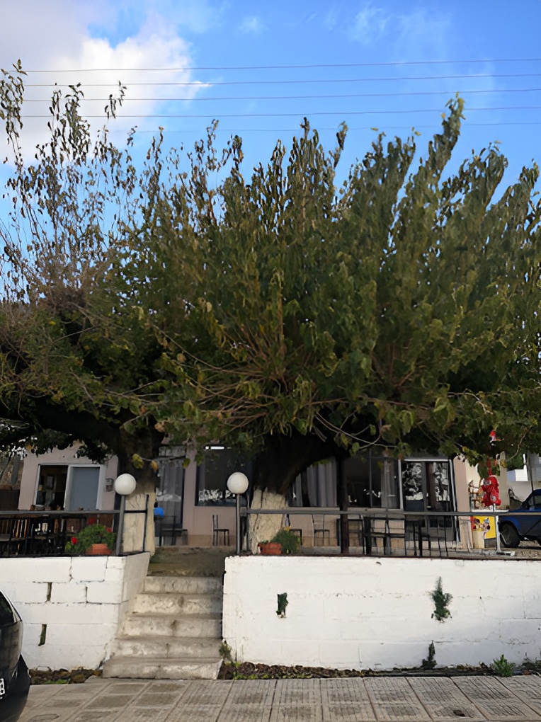 ΤΑΒΕΡΝΑ - ΨΗΣΤΑΡΙΑ ΑΣΦΑΚΑ ΙΩΑΝΝΙΝΩΝ "ΜΟΥΡΙΕΣ" ΠΑΠΑΔΟΠΟΥΛΟΣ ΦΩΤΗΣ ...