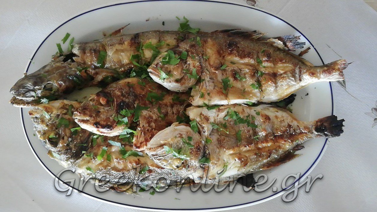 ΨΑΡΟΤΑΒΕΡΝΑ ΚΑΡΑΒΟΜΥΛΟΣ ΣΤΥΛΙΔΑΣ "ΚΑΡΑΒΟΜΥΛΟΣ" ΚΑΤΣΙΝΟΣ ΓΕΩ. & ΚΩΝ ...