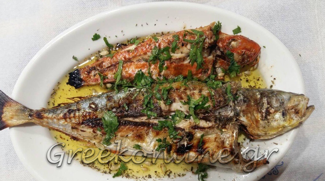 ΨΑΡΟΤΑΒΕΡΝΑ ΚΑΡΑΒΟΜΥΛΟΣ ΣΤΥΛΙΔΑΣ "ΚΑΡΑΒΟΜΥΛΟΣ" ΚΑΤΣΙΝΟΣ ΓΕΩ. & ΚΩΝ ...