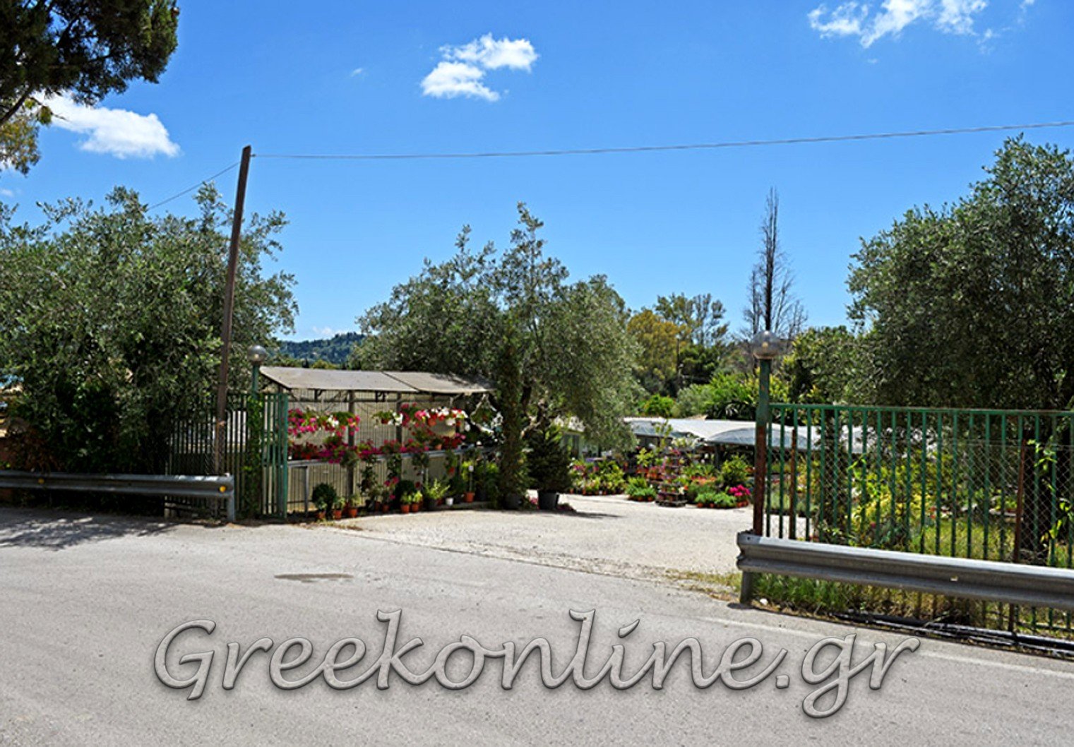 ΦΥΤΩΡΙΟ ΚΕΡΚΥΡΑ "ΦΥΤΩΡΙΑ ΝΙΚΟΛΑΣ" ΝΙΚΟΛΑΣ ΓΕΩΡΓΙΟΣ - Ηλεκτρονικός ...