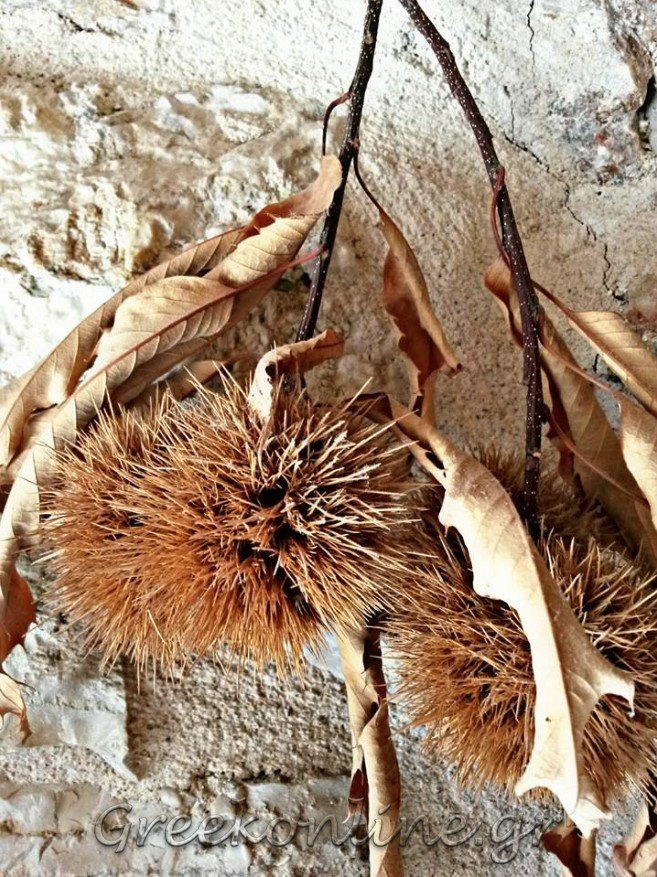 ΠΑΡΑΔΟΣΙΑΚΑ ΠΡΟΪΟΝΤΑ ΑΓΙΟΣ ΠΕΤΡΟΣ ΑΡΚΑΔΙΑΣ "ΜΑΛΕΒΟΣ" ΠΑΝΑΓΕΑ ΜΑΡΙΑ ...