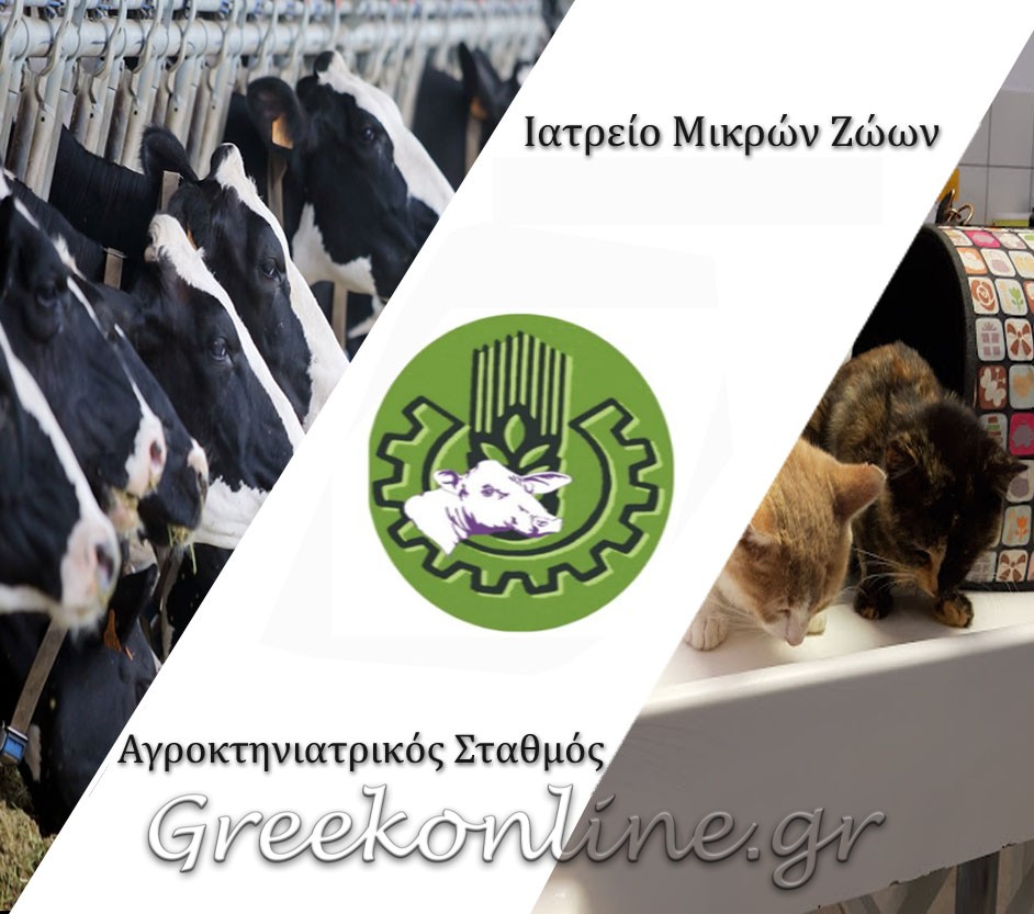 ΚΤΗΝΙΑΤΡΕΙΟ ΝΑΞΟΣ ΠΙΤΤΑΡΑΣ ΣΤΑΘΗΣ - ΣΑΛΑ ΠΑΡΑΣΚΕΥΗ - Ηλεκτρονικός ...