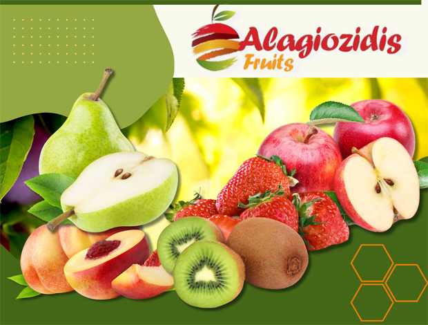 ΧΟΝΔΡΙΚΟ ΕΜΠΟΡΙΟ ΦΡΟΥΤΩΝ ΒΕΡΟΙΑ ΗΜΑΘΙΑΣ "ALAGIOZIDIS FRUITS ...