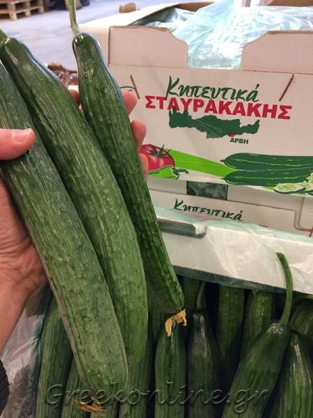 ΟΠΩΡΟΚΗΠΕΥΤΙΚΑ ΜΕΝΕΜΕΝΗ ΘΕΣΣΑΛΟΝΙΚΗΣ "OPSIMA" ΠΑΤΙΚΑΣ ΔΗΜΗΤΡΙΟΣ ...