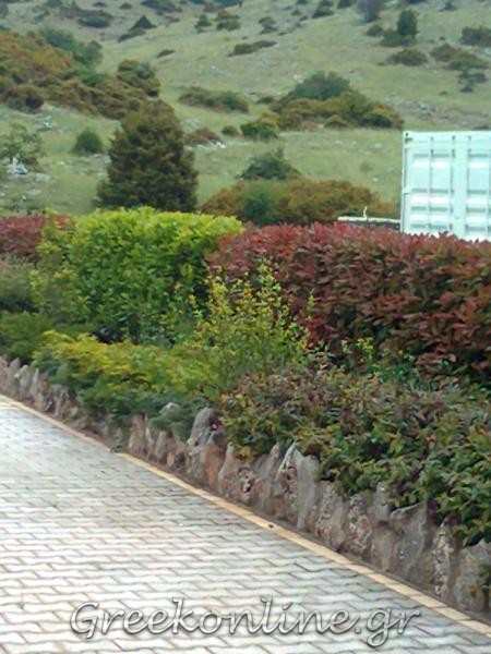 ΦΥΤΩΡΙΟ ΛΙΒΑΔΕΙΑ "ΚΗΠΟΤΕΧΝΙΚΗ ΛΙΒΑΔΕΙΑΣ" ΚΑΡΑΜΑΝΗΣ ΔΗΜΗΤΡΙΟΣ ...