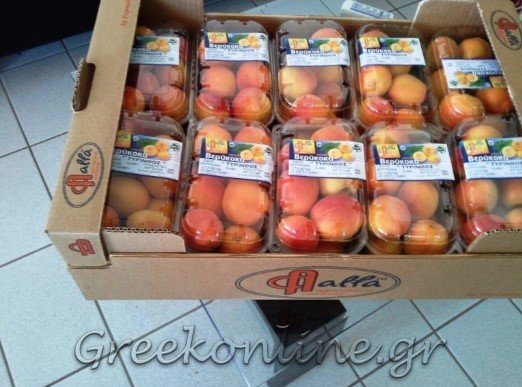 ΣΥΣΚΕΥΑΣΤΗΡΙΟ ΖΕΥΓΟΛΑΤΙΟ ΚΟΡΙΝΘΙΑΣ ΑΛΦΑ ΠΑΠΟΥΤΣΗΣ ΕΠΕ - Ηλεκτρονικός ...