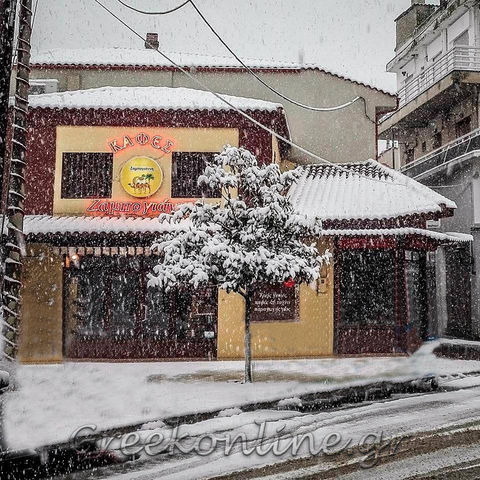 ΚΑΦΕΚΟΠΤΕΙΟ ΣΑΠΕΣ ΡΟΔΟΠΗΣ "ΖΑΜΠΟΓΙΑΝΝΗ" ΑΦΟΙ ΖΑΜΠΟΓΙΑΝΝΗ ΟΕ ...