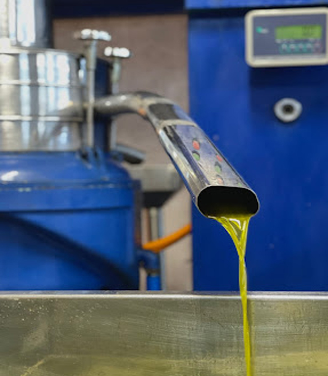 ΠΑΡΑΓΩΓΗ - ΕΜΠΟΡΙΑ ΕΛΑΙΟΛΑΔΟΥ ΚΑΛΛΙΡΡΟΗ ΜΕΣΣΗΝΙΑΣ "ΕΛΑΙΟΤΡΙΒΕΙΟ ΚΑΚΟΥΤΗ ...