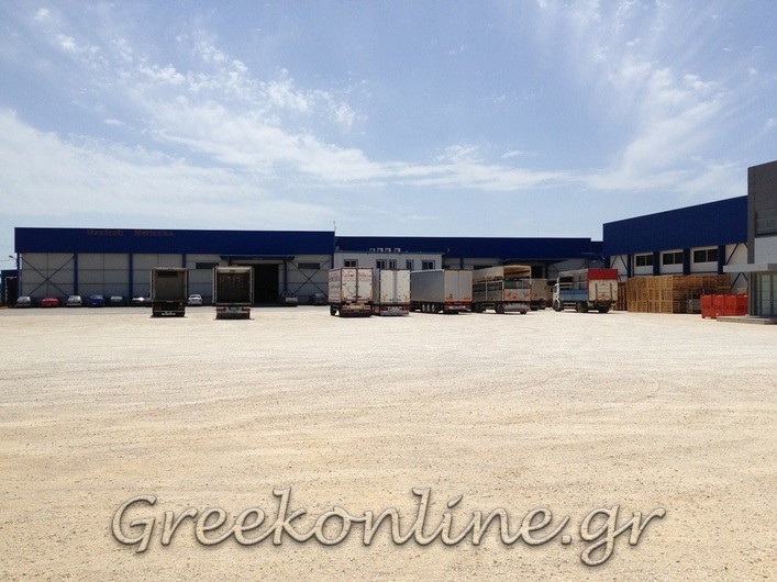 ΟΠΩΡΟΚΗΠΕΥΤΙΚΑ ΛΕΧΑΙΝΑ ΗΛΕΙΑΣ "ΓΕΩΦΡΟΥΤΑ ΕΛΛΑΣ Α.Ε." Γ. ΑΓΓΕΛΟΠΟΥΛΟΣ ...