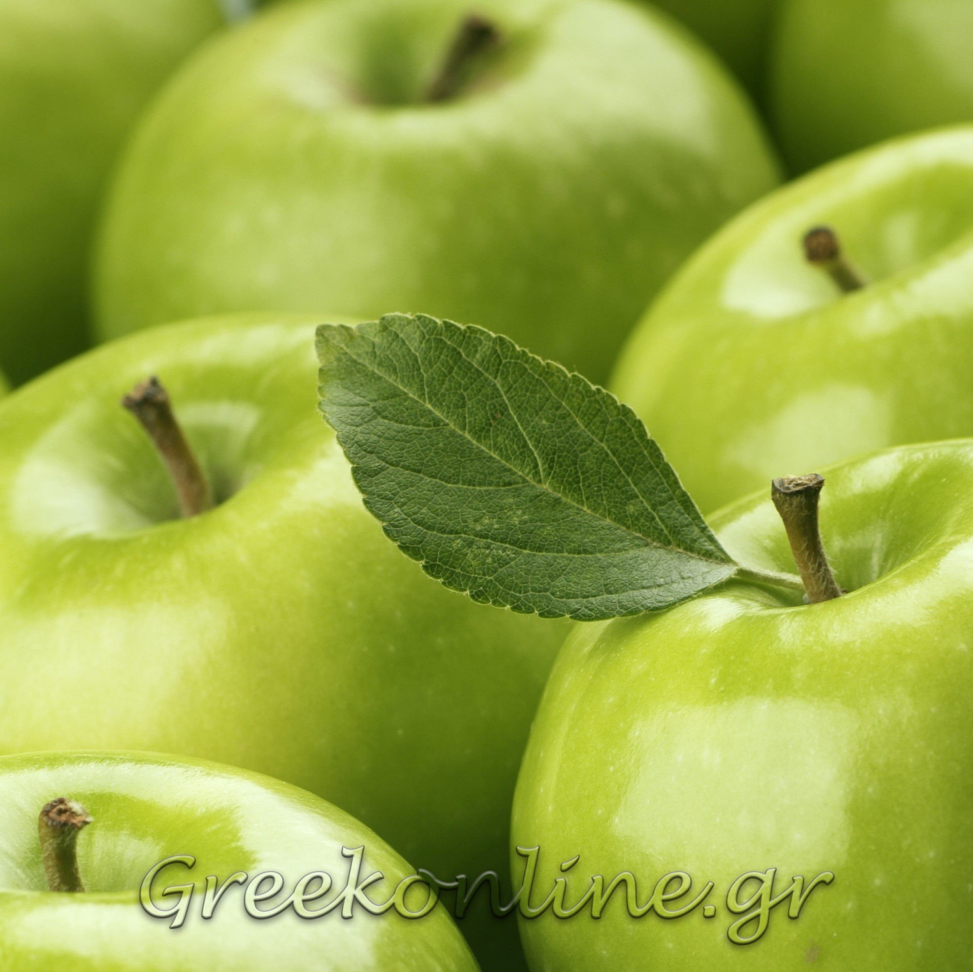 ΑΓΡΟΤΙΚΑ ΠΡΟΪΟΝΤΑ ΣΚΥΔΡΑ ΠΕΛΛΑΣ "SARANTIDIS ALWAYS FRESH" - ΣΑΡΑΝΤΙΔΗΣ ...