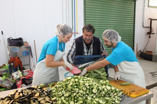 ΧΟΝΔΡΙΚΟ ΕΜΠΟΡΙΟ ΟΠΩΡΟΚΗΠΕΥΤΙΚΩΝ ΕΡΜΟΥΠΟΛΗ ΣΥΡΟΥ ΚΥΚΛΑΔΕΣ "ΣΥΡΑ FRESCA ...