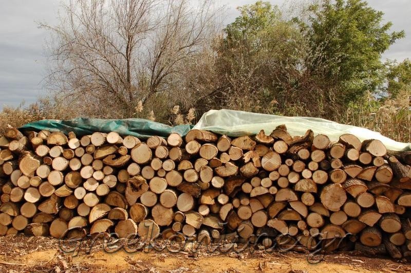 ΚΑΥΣΟΞΥΛΑ ΑΛΕΞΑΝΔΡΕΙΑ ΗΜΑΘΙΑΣ ΚΟΥΤΣΑΚΑΣ ΚΩΝ. ΝΙΚΟΛΑΟΣ - Ηλεκτρονικός ...