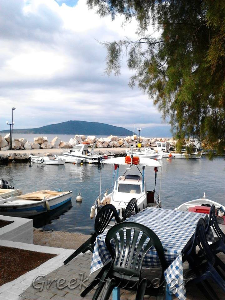 ΨΑΡΟΤΑΒΕΡΝΑ ΠΑΡΑΛΙΑ ΙΡΙΩΝ ΔΡΕΠΑΝΟ ΑΡΓΟΛΙΔΑΣ "ΤΟ ΛΙΜΑΝΑΚΙ" ΧΑΤΖΟΠΟΥΛΟΣ ...