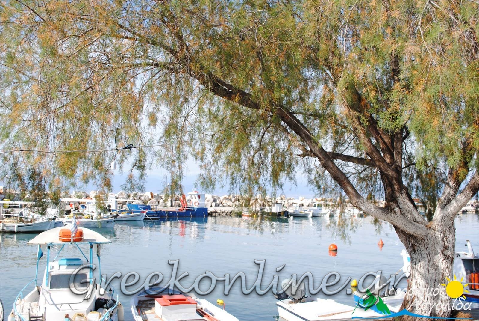 ΨΑΡΟΤΑΒΕΡΝΑ ΠΑΡΑΛΙΑ ΙΡΙΩΝ ΔΡΕΠΑΝΟ ΑΡΓΟΛΙΔΑΣ "ΤΟ ΛΙΜΑΝΑΚΙ" ΧΑΤΖΟΠΟΥΛΟΣ ...