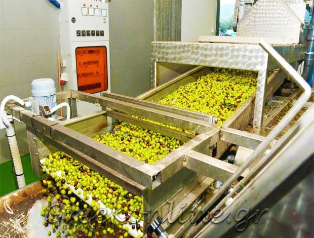 ΕΛΑΙΟΤΡΙΒΕΙΟ ΡΟΔΟΣ ΔΩΔΕΚΑΝΗΣΟΥ Μ. ΠΑΠΑΔΟΠΟΥΛΟΣ - Χ. ΠΑΠΑΔΟΠΟΥΛΟΥ Ο.Ε ...