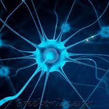 ΝΕΥΡΟΛΟΓΟΣ ΠΥΡΓΟΣ ΗΛΕΙΑΣ ΦΡΙΜΑ ΜΑΛΑΜΩ - Ηλεκτρονικός Κατάλογος ...