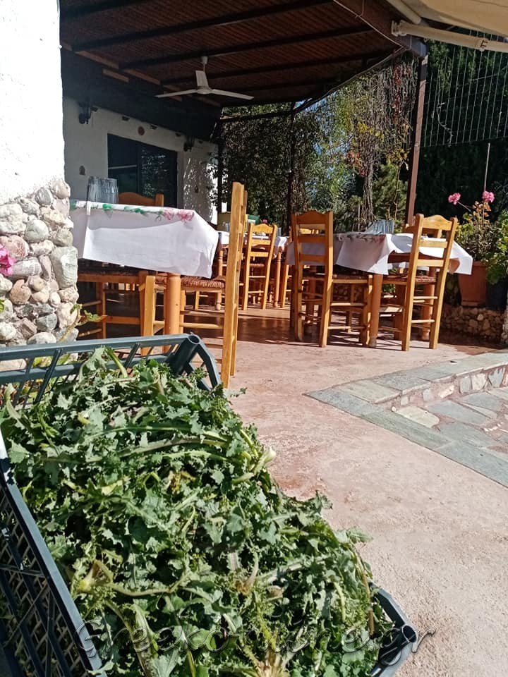 ΤΑΒΕΡΝΑ ΚΑΠΑΝΔΡΙΤΙ ΑΤΤΙΚΗΣ "ΤΟ ΜΕΡΑΚΙ" ΑΔΑΜΗ ΕΛΕΝΗ - Ηλεκτρονικός ...