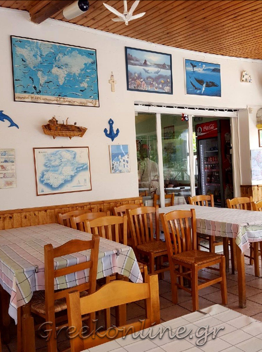 ΨΑΡΟΤΑΒΕΡΝΑ ΣΑΛΑΜΙΝΑ "ΜΠΑΚΟΘΑΝΑΣΗΣ" ΦΑΣΟΥΛΗ ΑΛΕΞΑΝΔΡΑ - Ηλεκτρονικός ...