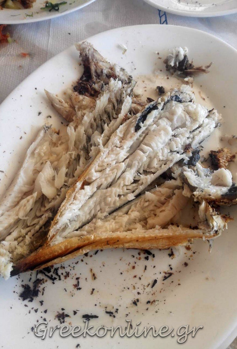 ΨΑΡΟΤΑΒΕΡΝΑ ΣΑΛΑΜΙΝΑ "ΜΠΑΚΟΘΑΝΑΣΗΣ" ΦΑΣΟΥΛΗ ΑΛΕΞΑΝΔΡΑ - Ηλεκτρονικός ...