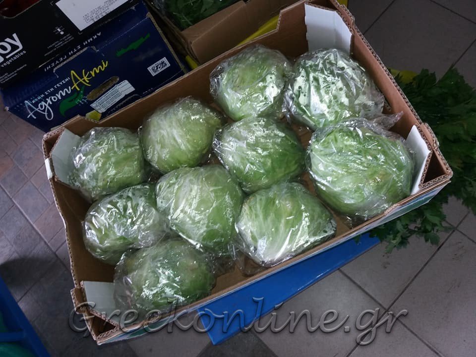 ΕΜΠΟΡΙΟ ΟΠΩΡΟΚΗΠΕΥΤΙΚΩΝ ΑΓΙΟΣ ΚΗΡΥΚΟΣ ΖΑΚΥΝΘΟΥ ΦΡΟΥΤΟΚΗΠΕΥΤΙΚΗ ΛΑΠΠΟΣ Δ ...