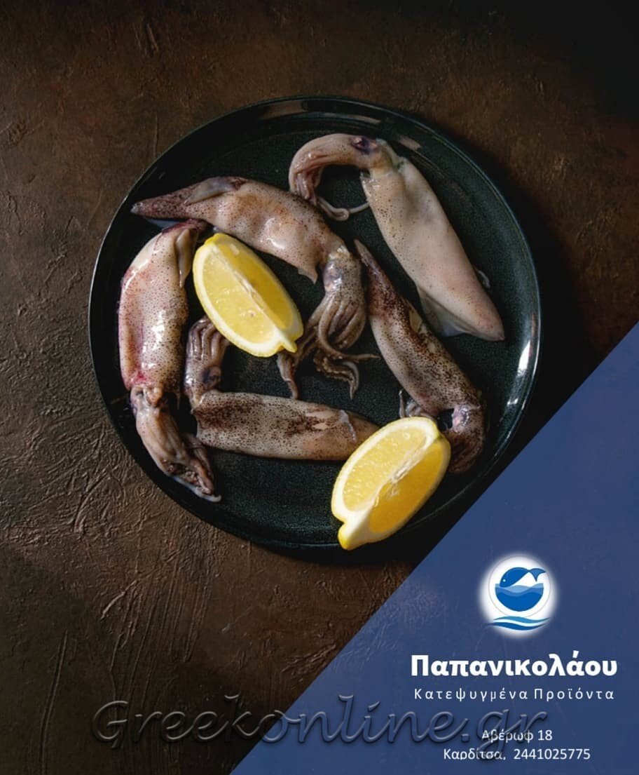 ΚΑΤΕΨΥΓΜΕΝΑ ΠΡΟΪΟΝΤΑ ΚΑΡΔΙΤΣΑ "ΠΑΠΑΝΙΚΟΛΑΟΥ ΚΑΤΕΨΥΓΜΕΝΑ" ΠΑΠΑΝΙΚΟΛΑΟΥ Ε ...