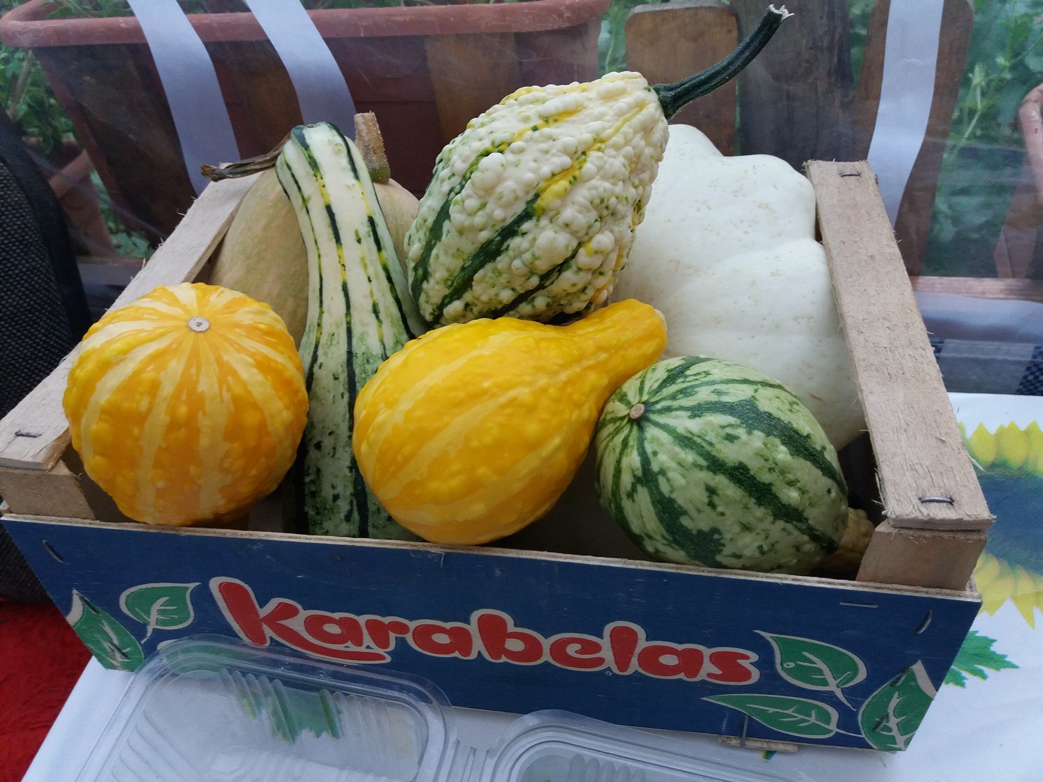 ΕΜΠΟΡΙΟ ΦΡΟΥΤΩΝ ΛΑΧΑΝΙΚΩΝ ΣΚΥΔΡΑ ΦΡΟΥΤΕΜΠΟΡΙΚΗ ΓΙΑΝΝΙΤΣΩΝ