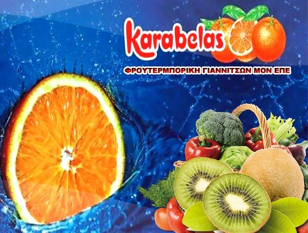 ΕΜΠΟΡΙΟ ΦΡΟΥΤΩΝ ΛΑΧΑΝΙΚΩΝ ΣΚΥΔΡΑ ΦΡΟΥΤΕΜΠΟΡΙΚΗ ΓΙΑΝΝΙΤΣΩΝ