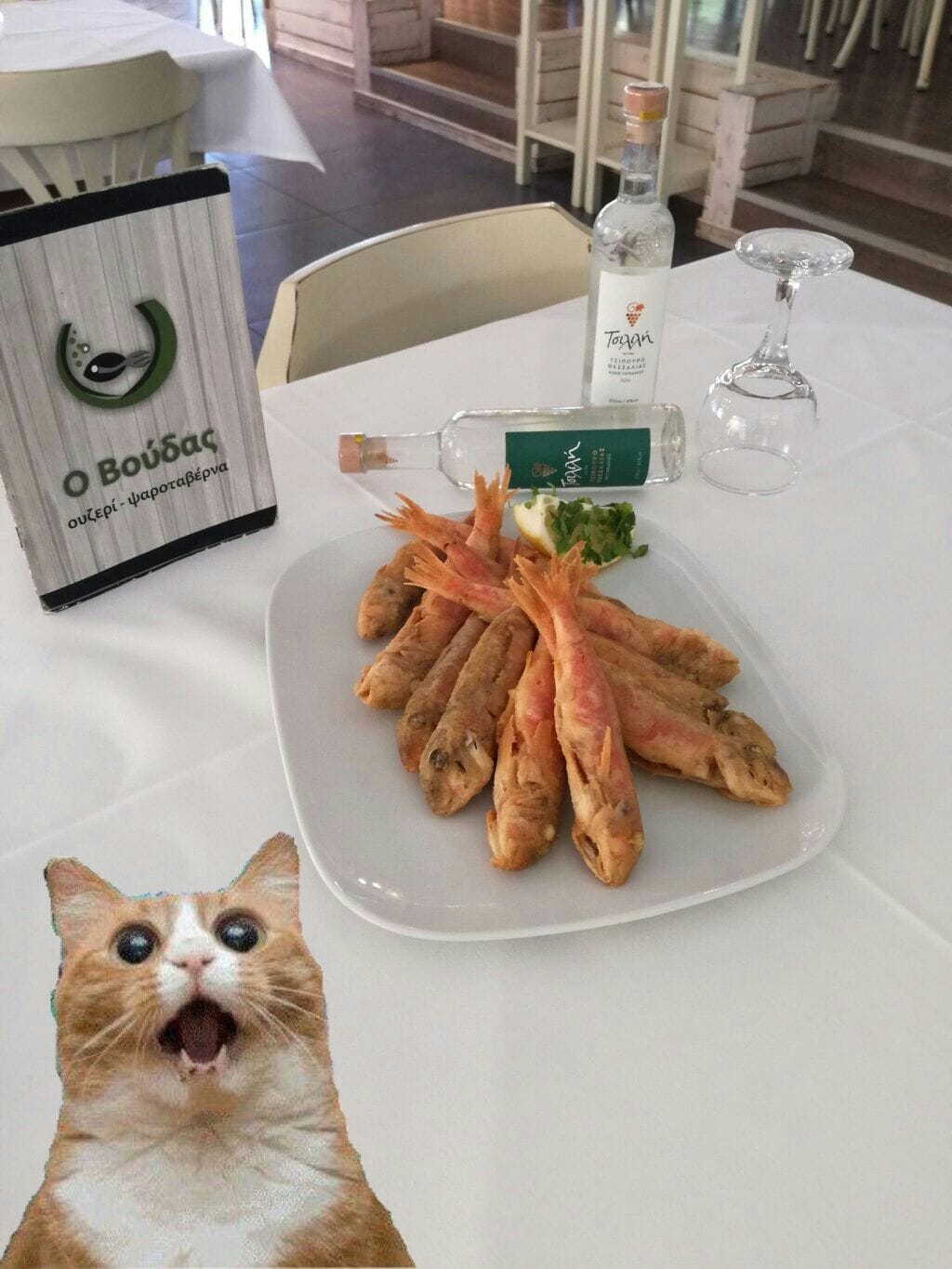 ΟΥΖΕΡΙ ΚΑΛΑΜΑΡΙΑ "Ο ΒΟΥΔΑΣ" ΛΥΜΠΕΡΗ ΠΑΝΑΓΙΩΤΑ - Ηλεκτρονικός Κατάλογος ...
