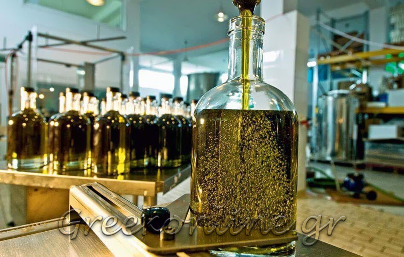 ΕΛΑΙΟΤΡΙΒΕΙΟ - ΣΥΣΚΕΥΑΣΤΗΡΙΟ ΜΥΤΙΚΑΣ ΧΑΛΚΙΔΑΣ "ATTIKA OLIVE OIL EXPORT ...