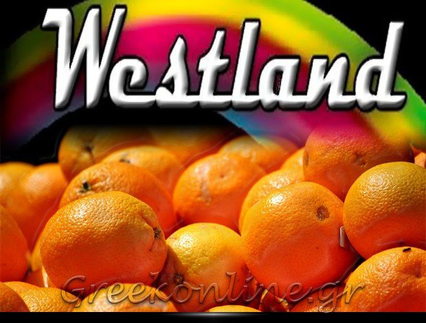 ΧΟΝΔΡΙΚΟ ΕΜΠΟΡΙΟ ΦΡΟΥΤΩΝ - ΛΑΧΑΝΙΚΩΝ ΓΟΥΡΙΑ ΑΙΤΩΛΟΑΚΑΡΝΑΝΙΑΣ WESTLAND ...