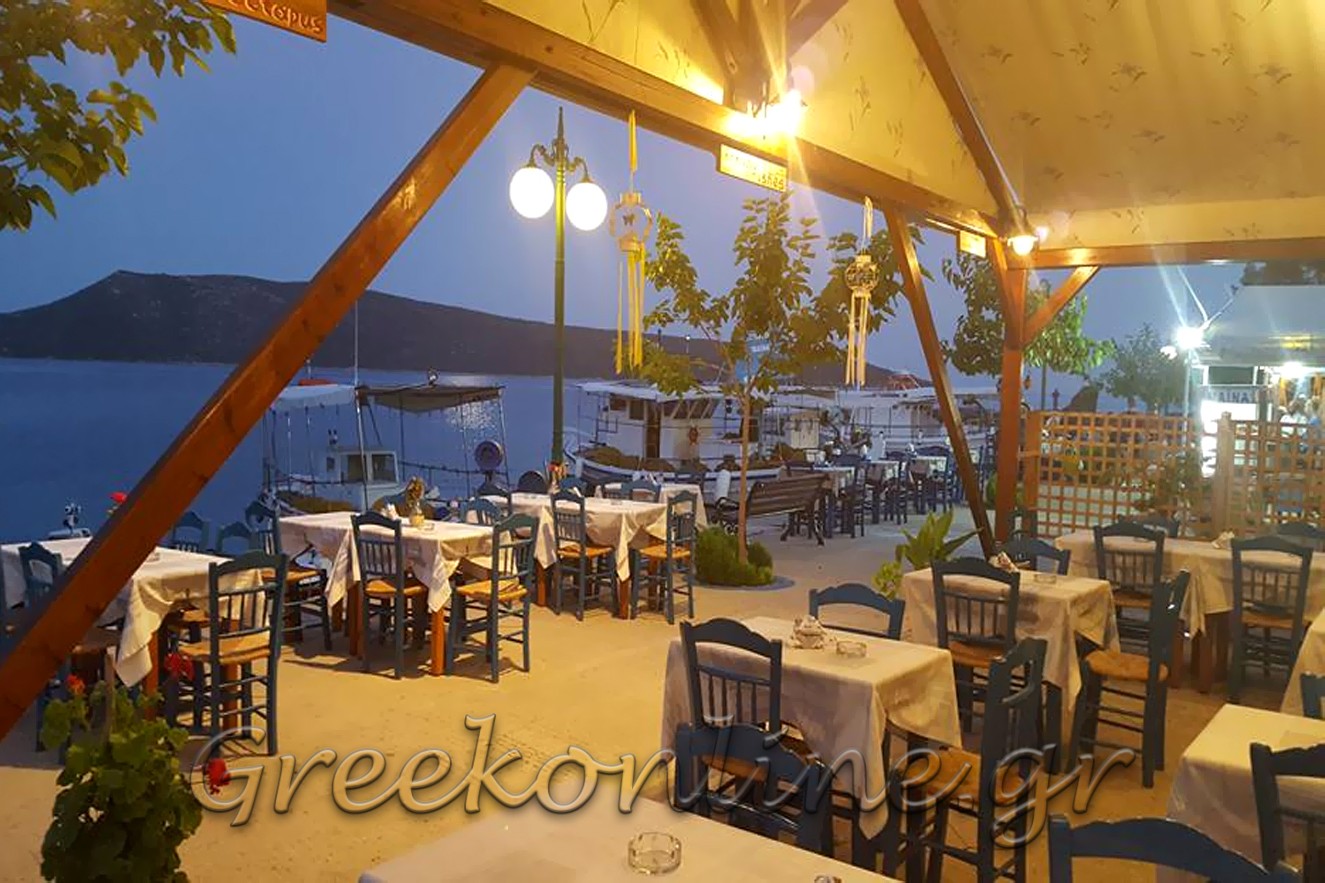 ΨΑΡΟΤΑΒΕΡΝΑ ΑΛΟΝΝΗΣΟΣ "ΤΑ ΚΑΛΑΜΑΚΙΑ" ΠΑΠΑΒΑΣΙΛΕΙΟΥ ΝΙΚΟΛΑΟΣ ...