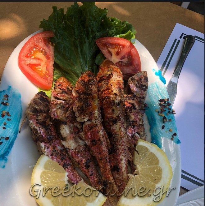 ΨΑΡΟΤΑΒΕΡΝΑ ΝΕΟ ΚΛΗΜΑ ΣΚΟΠΕΛΟΣ "ΠΕΝΤΕ ΠΛΑΤΑΝΙΑ HOVOLO" - Ηλεκτρονικός ...