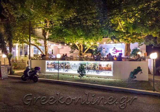 ΨΑΡΟΤΑΒΕΡΝΑ ΝΕΟ ΚΛΗΜΑ ΣΚΟΠΕΛΟΣ "ΠΕΝΤΕ ΠΛΑΤΑΝΙΑ HOVOLO" - Ηλεκτρονικός ...