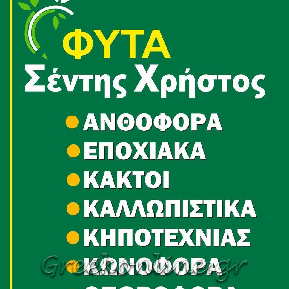 ΦΥΤΩΡΙΟ ΑΦΑΝΤΟΥ ΡΟΔΟΣ ΣΕΝΤΗΣ ΧΡΗΣΤΟΣ - Ηλεκτρονικός Κατάλογος ...
